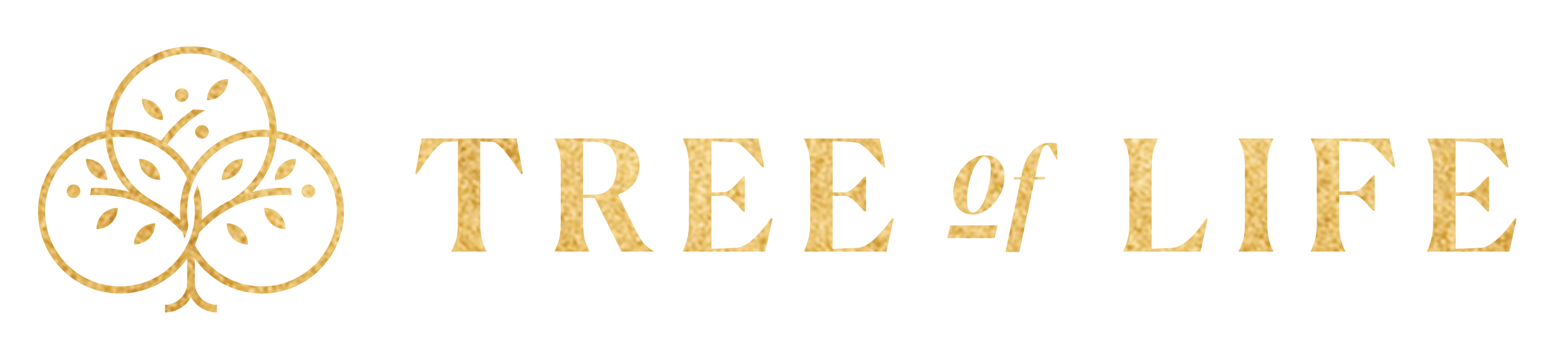 How to Establish A Skincare Routine – TreeofLifeBeauty.com