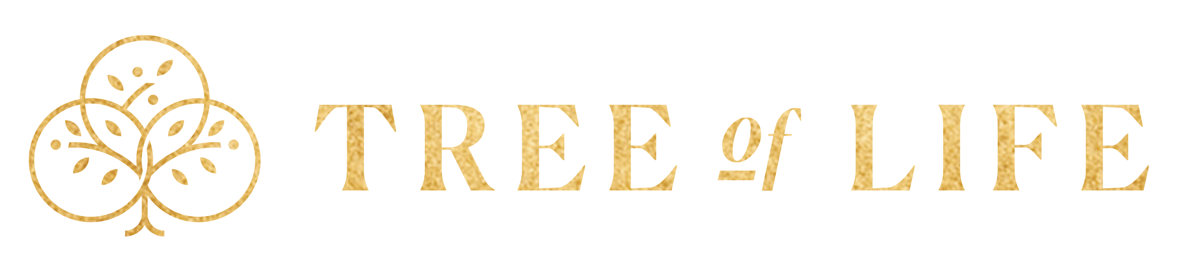 How to Establish A Skincare Routine – TreeofLifeBeauty.com