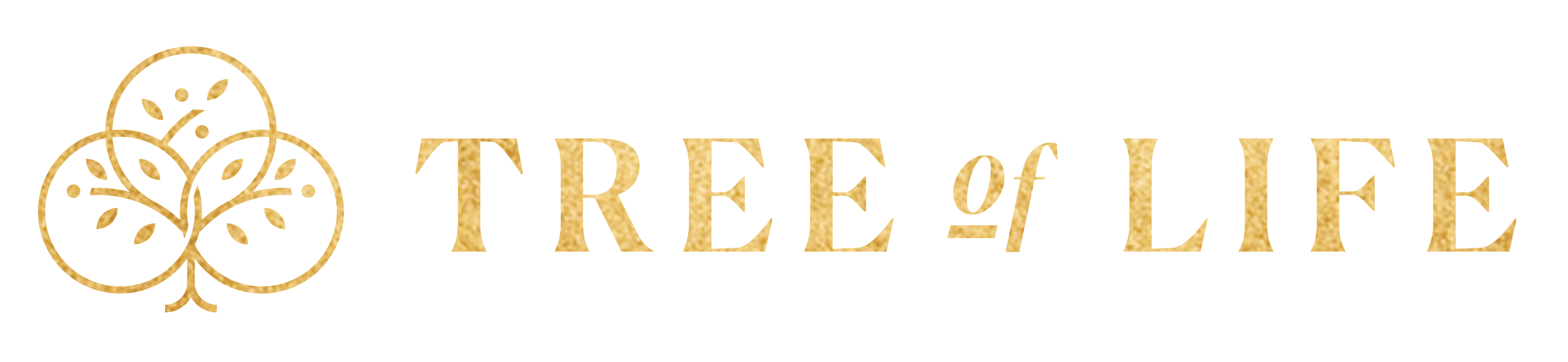 How to Establish A Skincare Routine – TreeofLifeBeauty.com